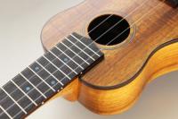 FUS-TS : Standard Traditional Style |FUS-TS : Standard Traditional Style